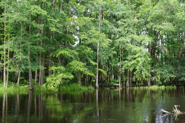 LUMBER RIVER STATE PARK CHAULK - Updated August 2025 - 15 Photos ...