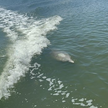 TURTLE MOUND RIVER TOURS - Updated November 2024 - 89 Photos & 61 ...