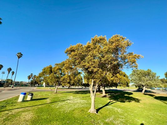 CROWN POINT - Updated November 2025 - 263 Photos & 86 Reviews - 3701 ...