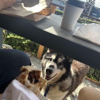 MAS CAFE - Updated May 2025 - 226 Photos & 210 Reviews - 1906 N 34th St ...