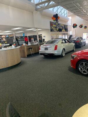 BILL LUKE TEMPE - ALFA ROMEO & FIAT - 117 Photos & 456 Reviews - 7833 S ...