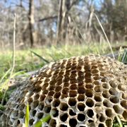 BENBROOK LAKE - 7001 Benbrook Lake Dr, Fort Worth, Texas - Lakes ...