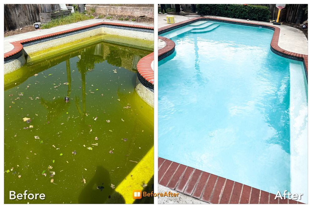 CLARITY POOL CARE - Updated May 2025 - 22 Photos - Chino Hills ...