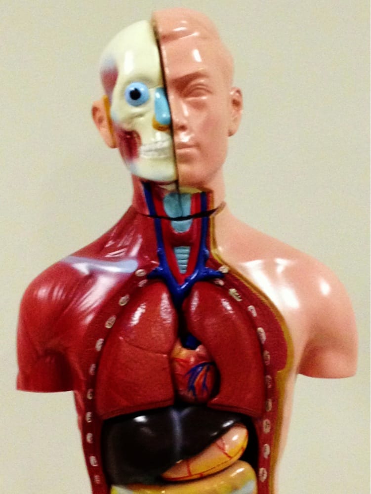 PING MING HEALTH - Updated March 2024 - 580 Hay St, Perth Western ...