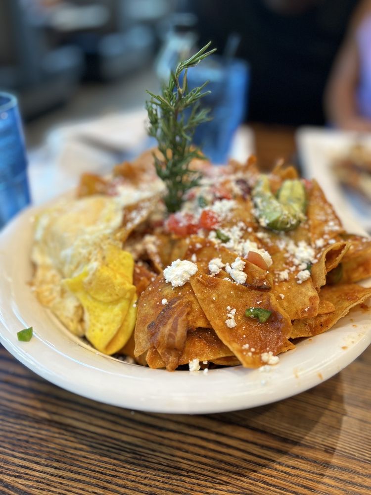 HASH HOUSE A GO GO - Updated February 2025 - 525 Photos & 166 Reviews ...