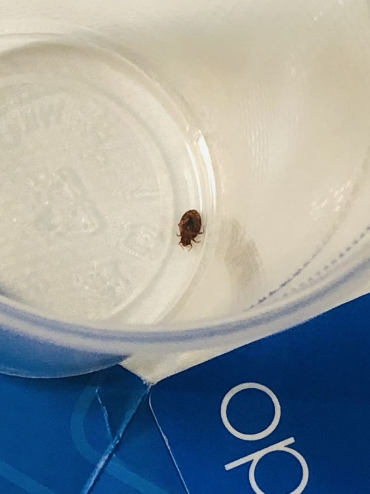 CHURCH HILL INN - Updated December 2025 - 18 Photos - 1142 Volunteer St ...