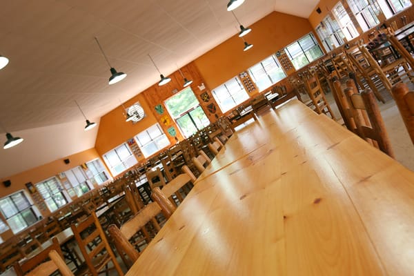 PINE FOREST CAMP - Updated December 2025 - 39 Photos - 185 Pine Forest ...