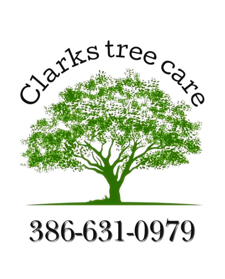 CLARKS TREE CARE - Updated January 2025 - Request a Quote - Daytona ...
