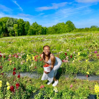 MCADAMS FARM - Updated October 2025 - 37 Photos & 11 Reviews - 1100 N ...