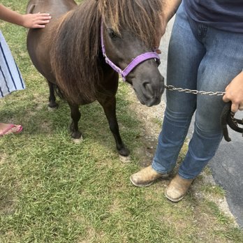 ROCKING HORSE RANCH - Updated November 2025 - 502 Photos & 208 Reviews ...