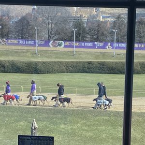 WHEELING ISLAND HOTEL - CASINO-RACETRACK - 47 Photos & 78 Reviews - 1 S ...