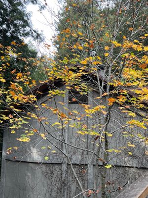 MILL VALLEY PUBLIC LIBRARY - Updated August 2025 - 72 Photos & 91 ...