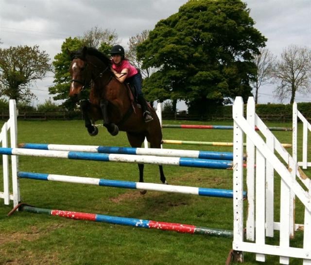PELLETSTOWN RIDING CENTRE - Updated December 2025 - Pelletstown ...