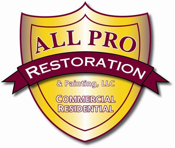 ALL PRO RESTORATION - Updated June 2024 - 169 W Clarkston Rd, Lake ...