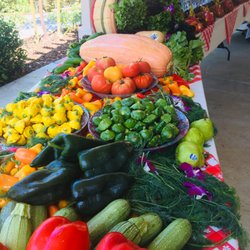 FREDERICKA MANOR RETIREMENT COMMUNITY IN CHULA VISTA - 85 Photos - 183 ...