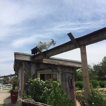 CLOVERMEAD - Updated January 2026 - 133 Photos - 11302 Imperial Road ...