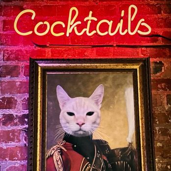 LOST CAT BAR & BITES - Updated June 2024 - 280 Photos & 113 Reviews ...