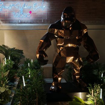 TABAC+ - Updated July 2025 - 175 Photos & 66 Reviews - 2215 Kettner ...