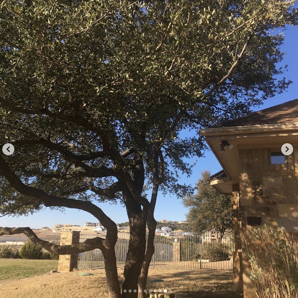 CLEAN CUTS TREE CARE - Updated December 2025 - 11 Reviews - Cedar Park ...