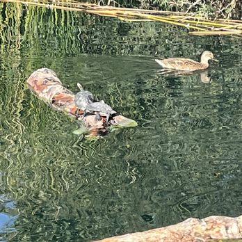 RIPARIAN PRESERVE AT WATER RANCH - 653 Photos & 231 Reviews - 2757 E ...