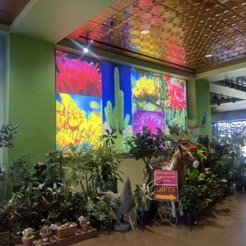 MESQUITE VALLEY GROWERS NURSERY - Updated January 2026 - 635 Photos ...