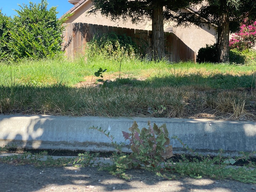 NEW BRIDGE MANAGEMENT - Updated December 2025 - 45 Photos & 48 Reviews ...