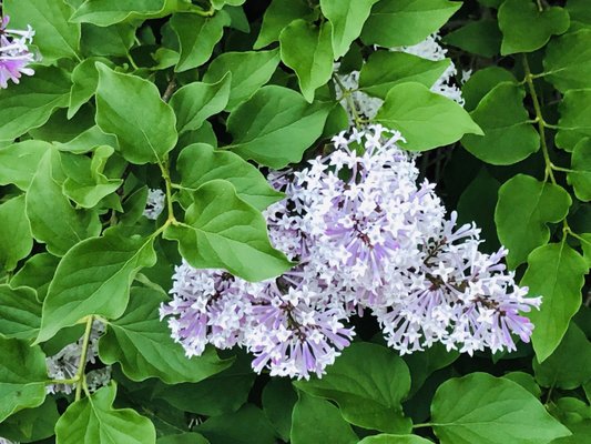 BRANFORD POINT - 31 Photos - 4 Harbor St, Branford, Connecticut ...