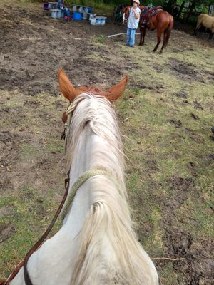 BROKEN BOW RANCH - Updated July 2024 - 43 Photos & 60 Reviews - 1755 E ...