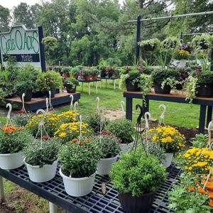 MENARDS - Updated April 2025 - 24 Reviews - 3200 N Wayne St, Angola ...