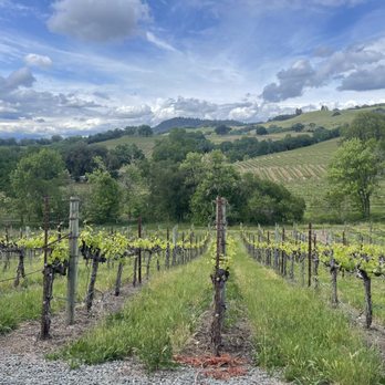 CHRISTOPHER CREEK WINERY - Updated August 2025 - 236 Photos & 224 Reviews - 641 Limerick Ln ...