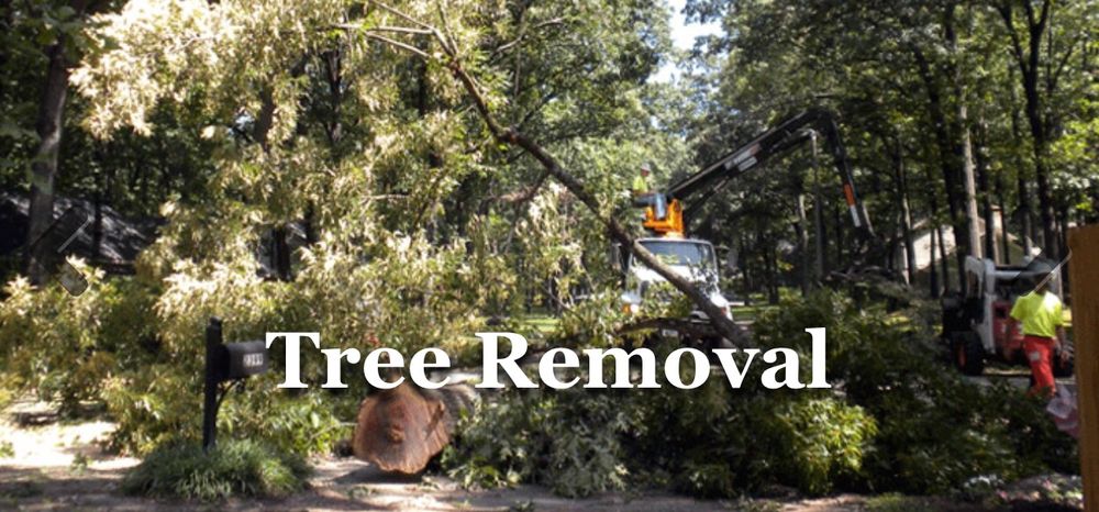 MICHAEL’S TREE & LOADER SERVICE - Updated December 2025 - 10 Photos ...