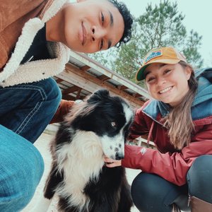 HOLLY RIDGE FARM EQUESTRIAN CENTER - Updated June 2025 - 36609 Purnell ...