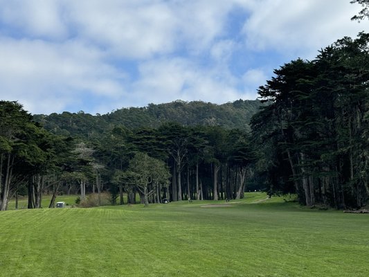 SHARP PARK GOLF COURSE - Updated December 2025 - 153 Photos & 188 ...