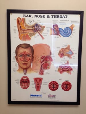 CAPITAL ENT & SINUS CENTER - Updated April 2025 - 51 Photos & 198 ...