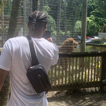 ZOOLOGICAL WILDLIFE FOUNDATION - Updated June 2024 - 866 Photos & 239 ...