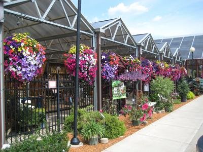 SARGENT’S NURSERY - Updated November 2024 - 63 Photos - 3352 N Service ...