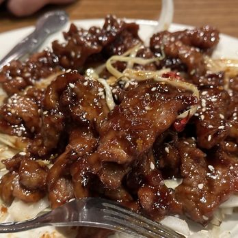 HUNAN GARDEN - Updated August 2025 - 105 Photos & 201 Reviews - 4601 ...