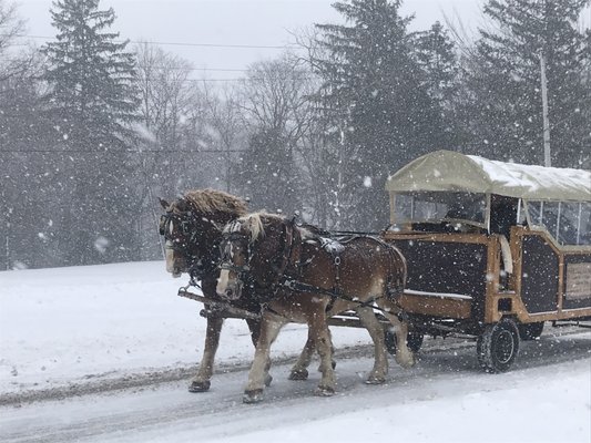 CHESTNUT RIDGE PARK - 168 Photos & 58 Reviews - 6121 Chestnut Ridge Rd ...