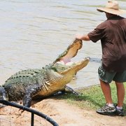 ALLIGATOR ALLEY - Updated December 2025 - 507 Photos & 185 Reviews ...