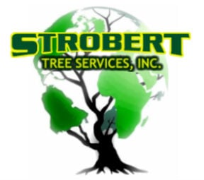 STROBERT TREE SERVICES - Updated October 2025 - 28 Photos & 48 Reviews - 1806 Zebley Rd ...