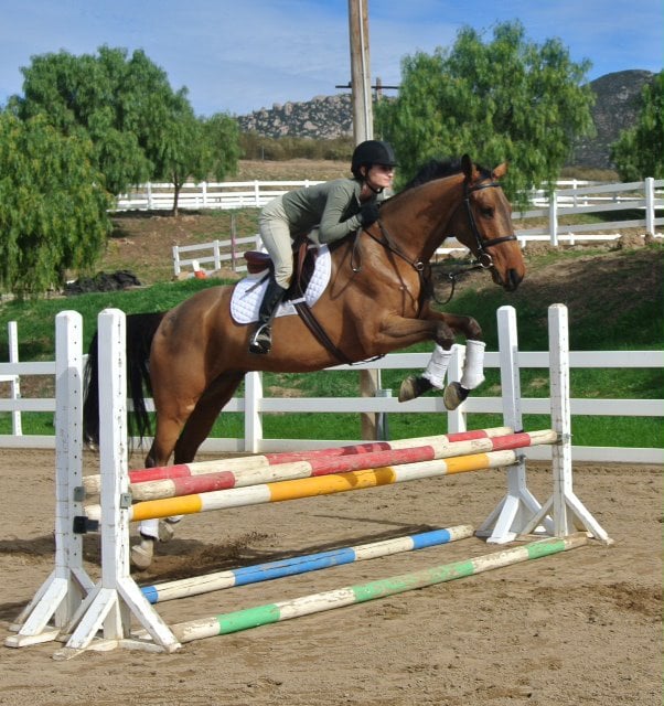 ELITE SHOW STABLES - Updated January 2025 - 15015 Lucidi Farms Way ...