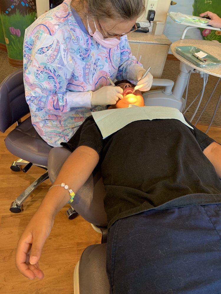 DR LAURA VAN ROY, DDS - Updated December 2025 - 8741 Brooks Rd S ...