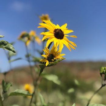 WHITE POINT NATURE PRESERVE - Updated December 2025 - 294 Photos & 35 ...