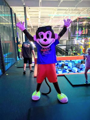 URBAN AIR TRAMPOLINE AND ADVENTURE PARK - Updated June 2024 - 13 Photos ...