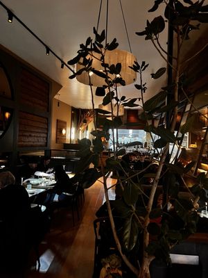 ALTAMIRANO RESTAURANT & BAR - Updated April 2026 - 623 Photos & 143 ...