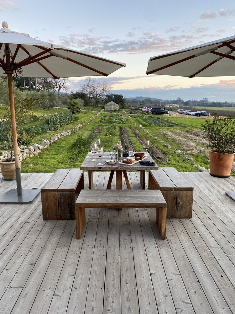 SCRIBE WINERY - Updated January 2025 - 837 Photos & 361 Reviews - 2100 ...