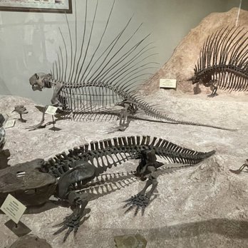 TEXAS SCIENCE & NATURAL HISTORY MUSEUM - Updated October 2025 - 174 ...