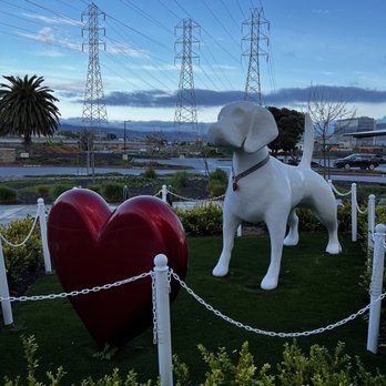 PENINSULA HUMANE SOCIETY & SPCA - Updated September 2024 - 81 Photos ...