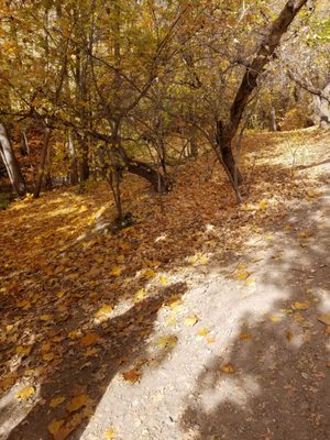 MEMORY GROVE PARK - 157 Photos & 67 Reviews - Parks - 300 N Canyon Rd ...