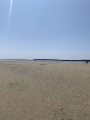 SINGING SANDS BEACH - Updated January 2026 - 12 Photos - Dorcas Bay ...